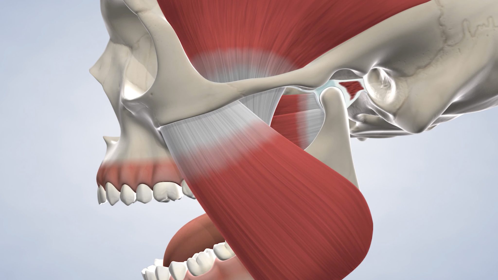 Oral Surgeon Springfield | Oral & Facial Surgeons of Illinois, located ...