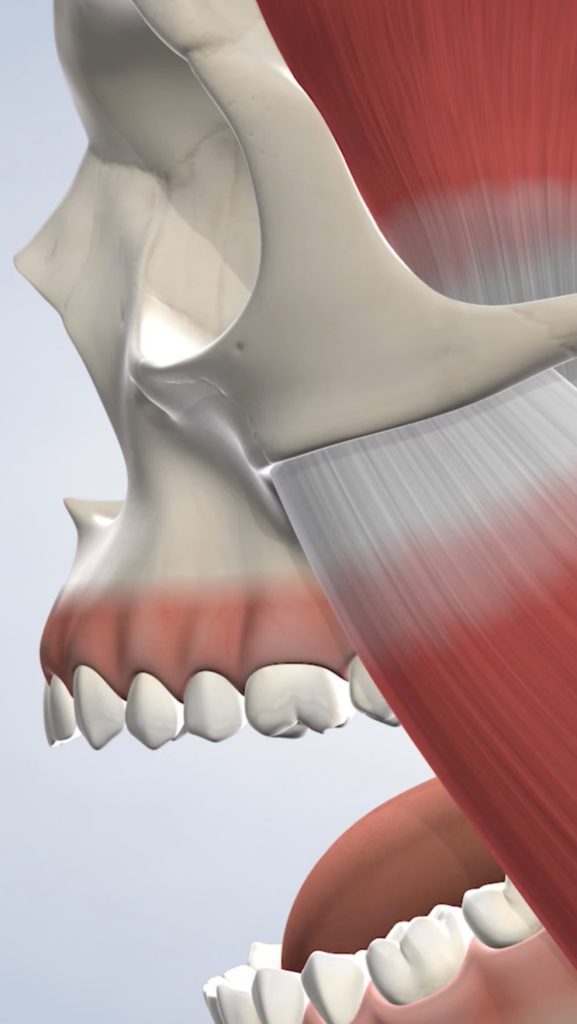 Oral Surgeon Springfield | Oral & Facial Surgeons of Illinois, located ...